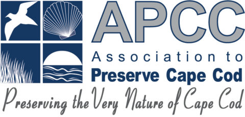 Cape Cod Native Plants | By APPC